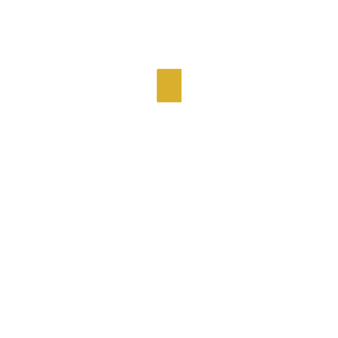 Project 1.6 - Purposeful Brand Design Solutions